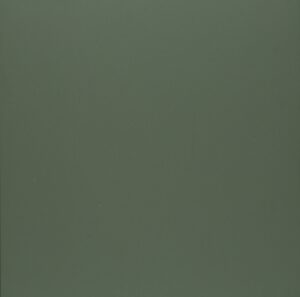 Olive Matte Finish Slab - The Cabinet Face